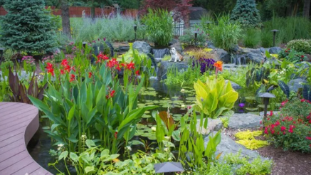Everything You Should Know About Water Gardens
